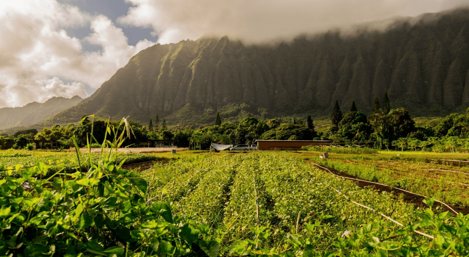 The 9 Best Hawaii Mountains - Next Vacay