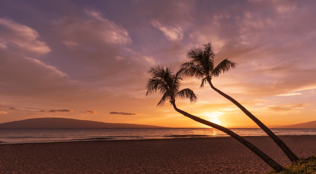 The Top 18 Places to Visit in Maui - Next Vacay
