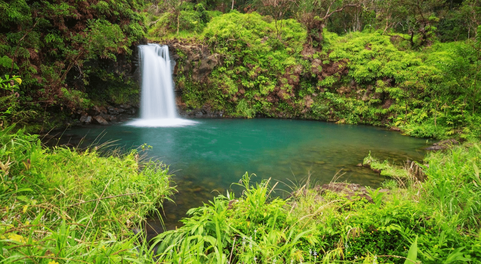 The Top 18 Places to Visit in Maui - Next Vacay