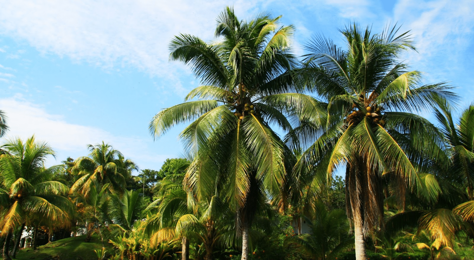 The Best Beaches in Guatemala - Next Vacay