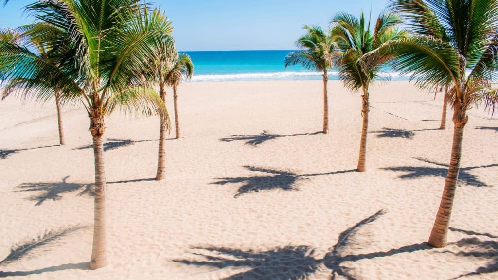 Splash into Paradise: 13 Swimmable Beach Resorts in Cabo - Next Vacay