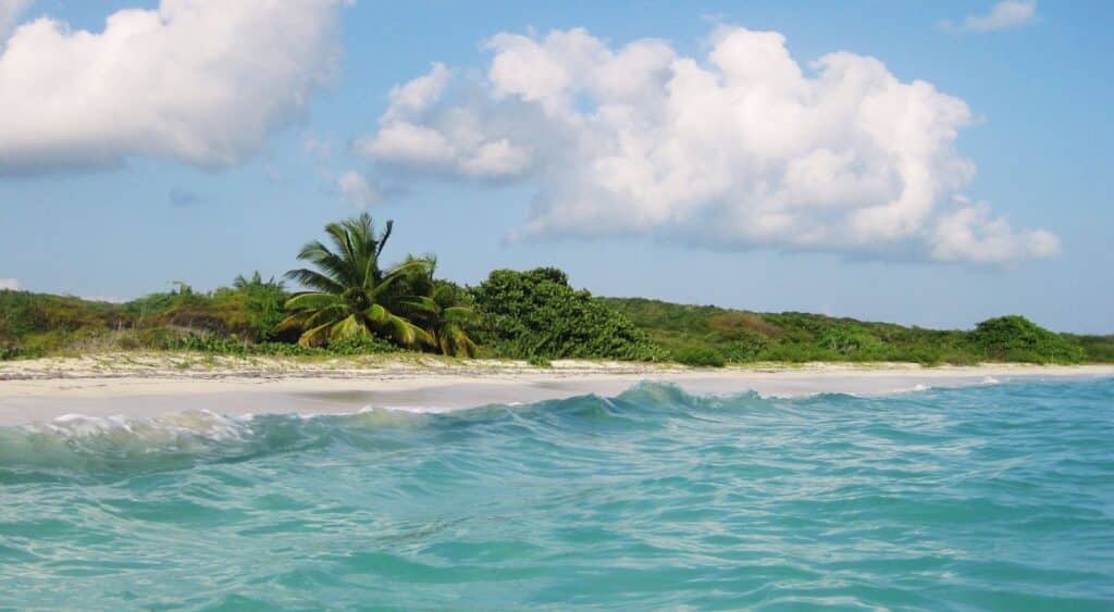 Explore the Best Beaches in Vieques, Puerto Rico - Next Vacay