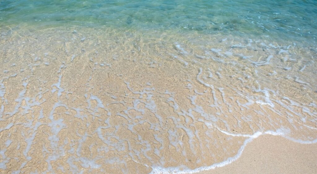 Explore the Best Beaches in Vieques, Puerto Rico - Next Vacay