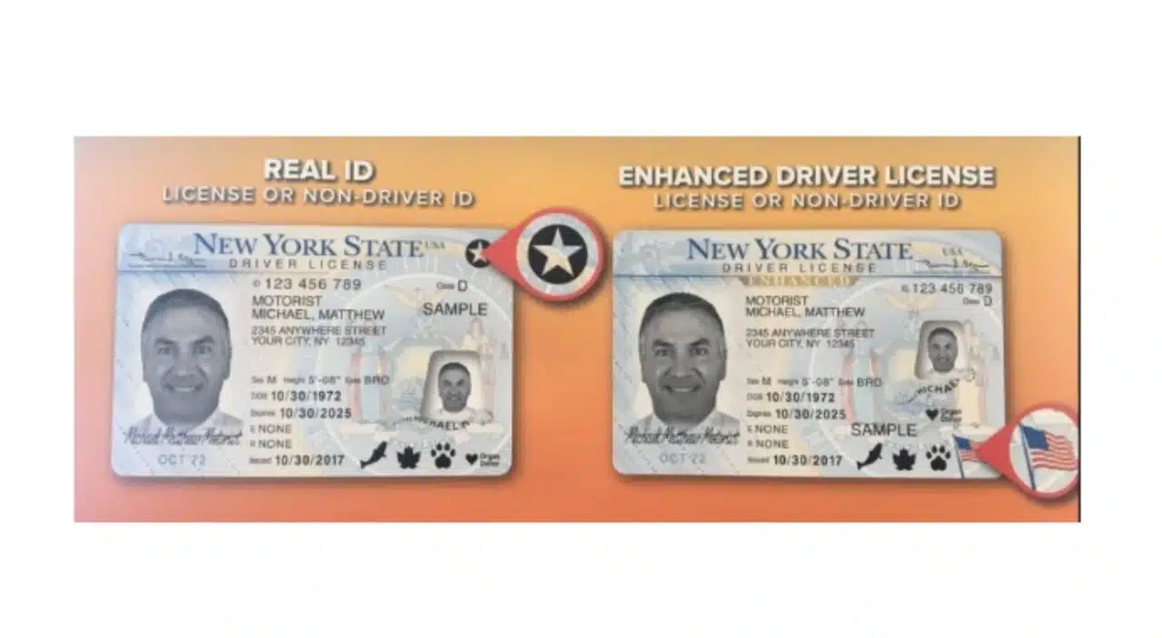 Do You Need It to Fly? Your Guide to REAL ID - Next Vacay